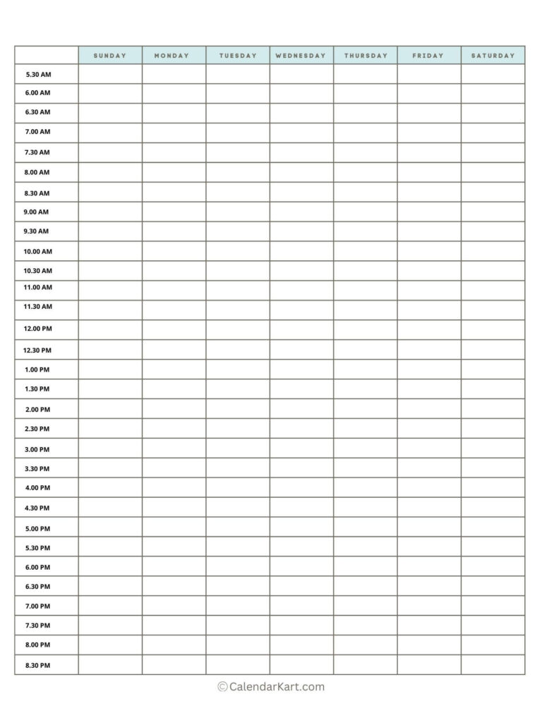 Free Printable Hourly Planner Template Free Printable Hourly Planner Template